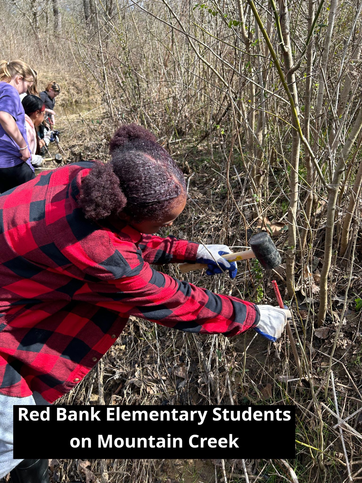 Streambank Protection – WaterWays